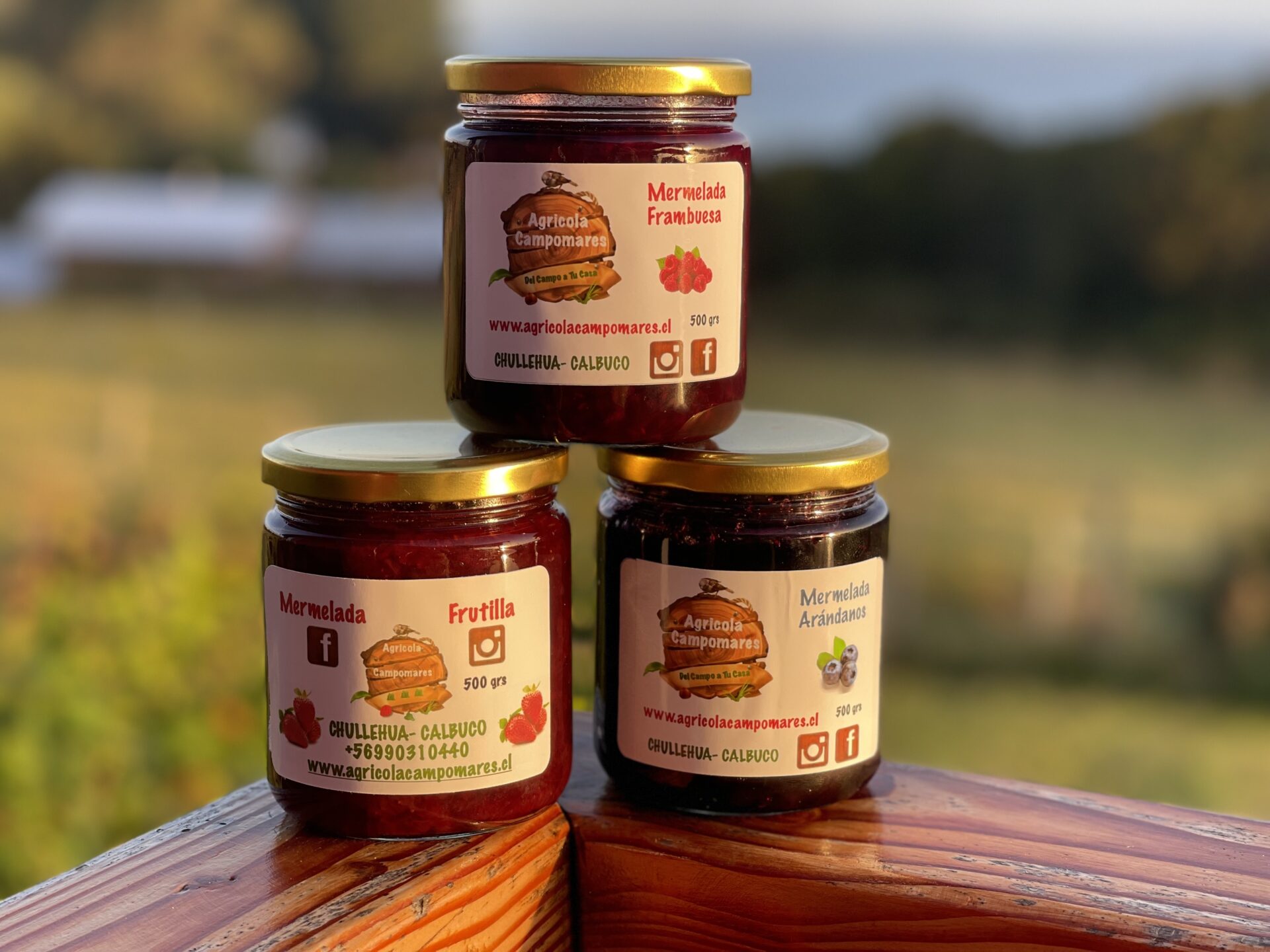 Mermeladas Artesanales …ENVIOS A REGIONES ……….. – Agrícola Campomares Spa